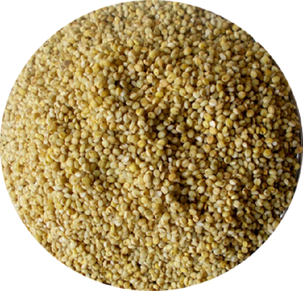 Korralu(Fox tail millets) – Organic Family